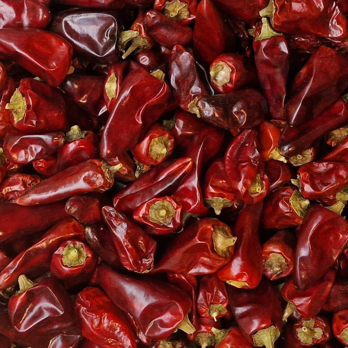 Zi Dan Tou Chili