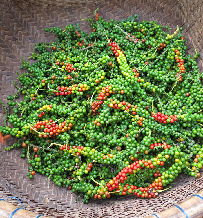 www.thepepperquest.com